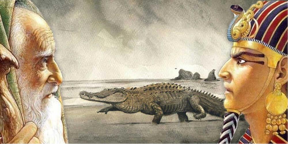 Firaun, Buaya Mesir - GKA Gloria